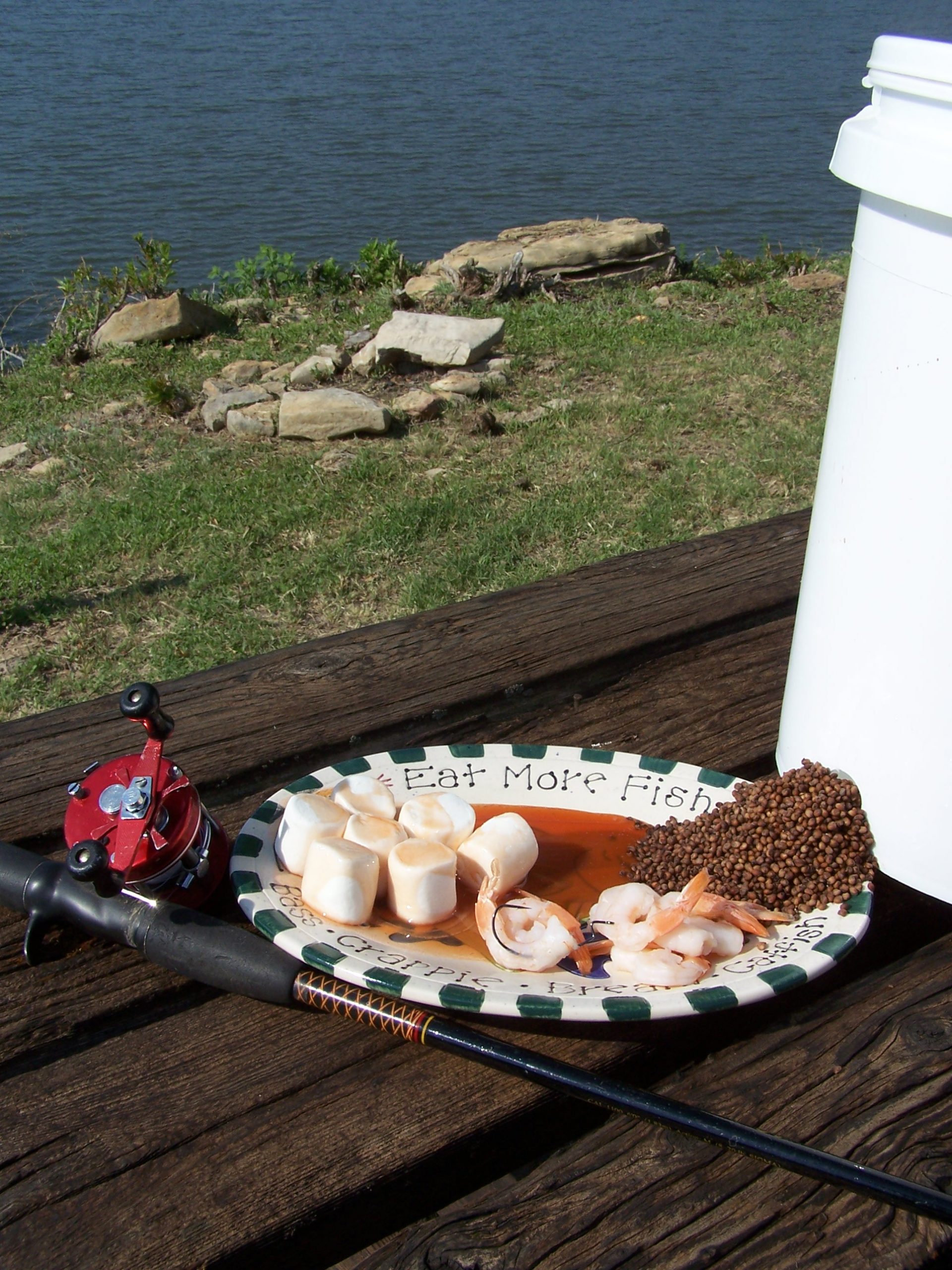 Mission Impossible - Catching Fed Catfish - American Sport Fish