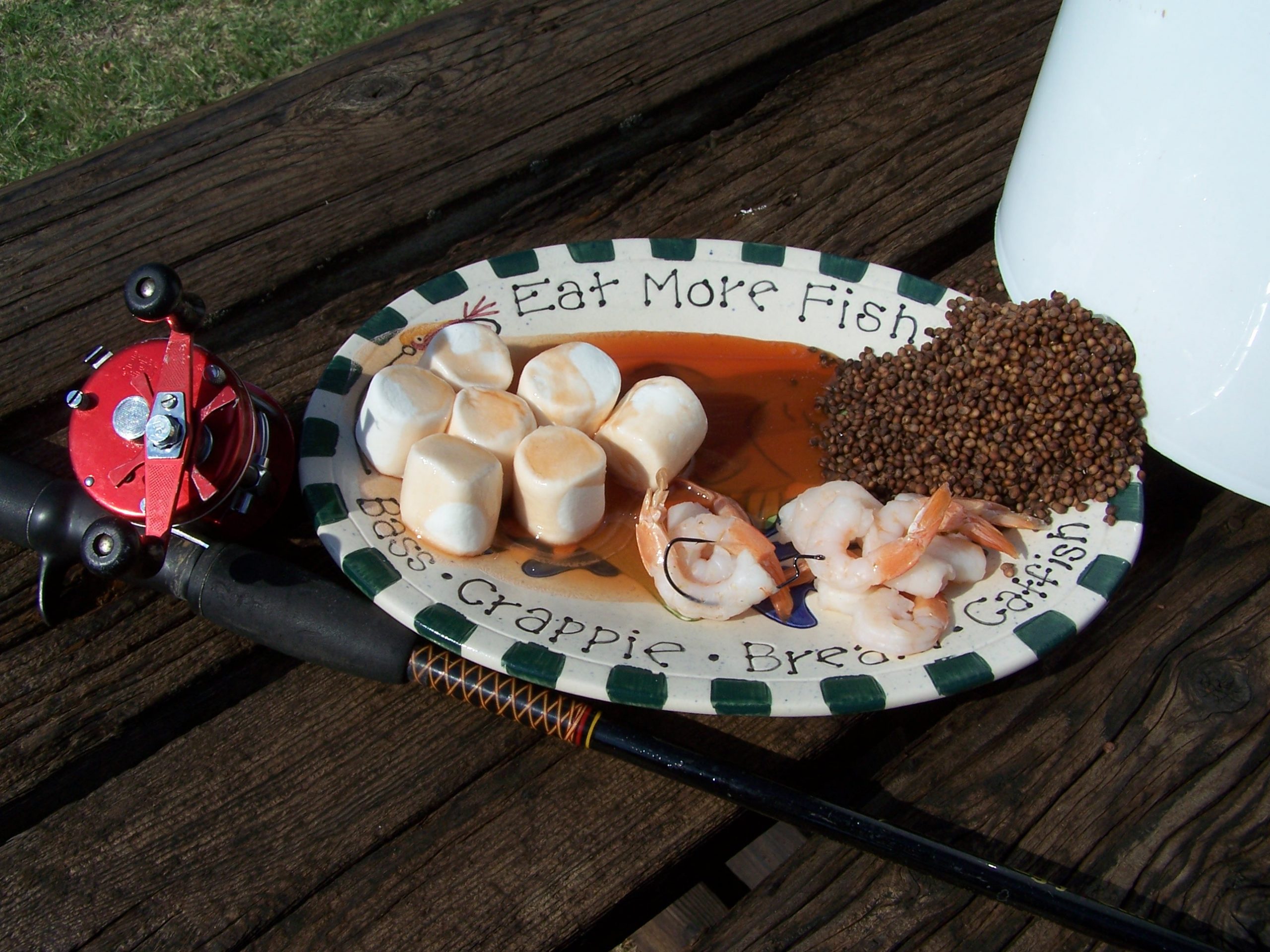 Mission Impossible - Catching Fed Catfish - American Sport Fish