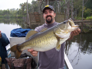 Largemouth Bass – A Fascinating Transformation In Growth :: American ...