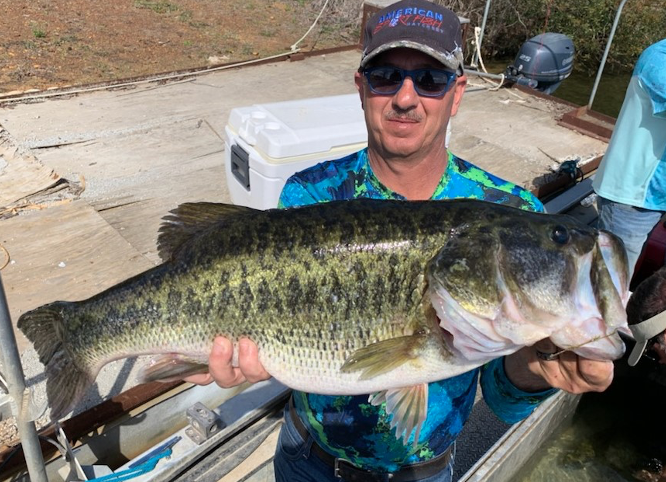 Diverse Food Chains Produce Trophy Bass - American Sport Fish