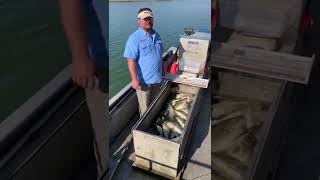 Shoreline Seminars: Big Hawg Fish - American Sport Fish